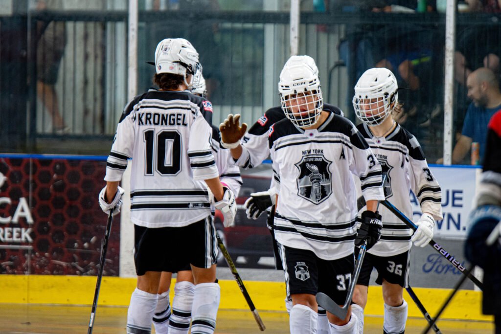 Team NY Future Stars Tryout Registration - USA Ball Hockey